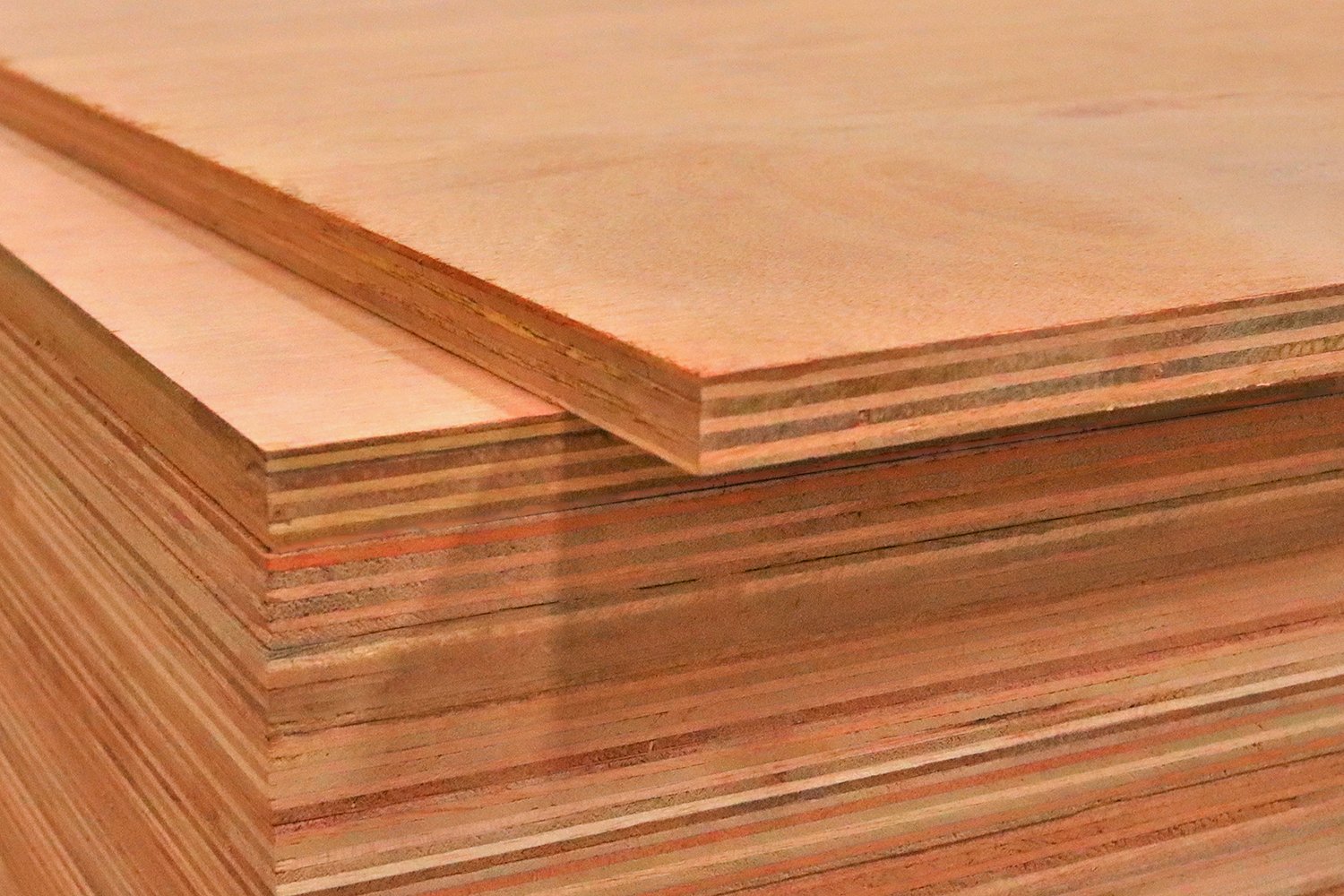 Supplier Hardwood Plywood Jabodetabek √ 0811-1210-971