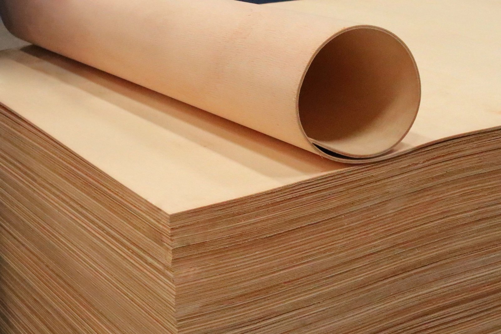 What is Bending Plywood?